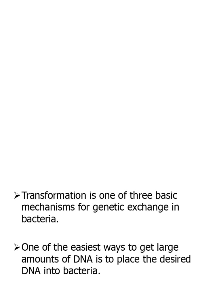 Bacterial Transformation | Download Free PDF | Transformation (Genetics) | Bacteriophage