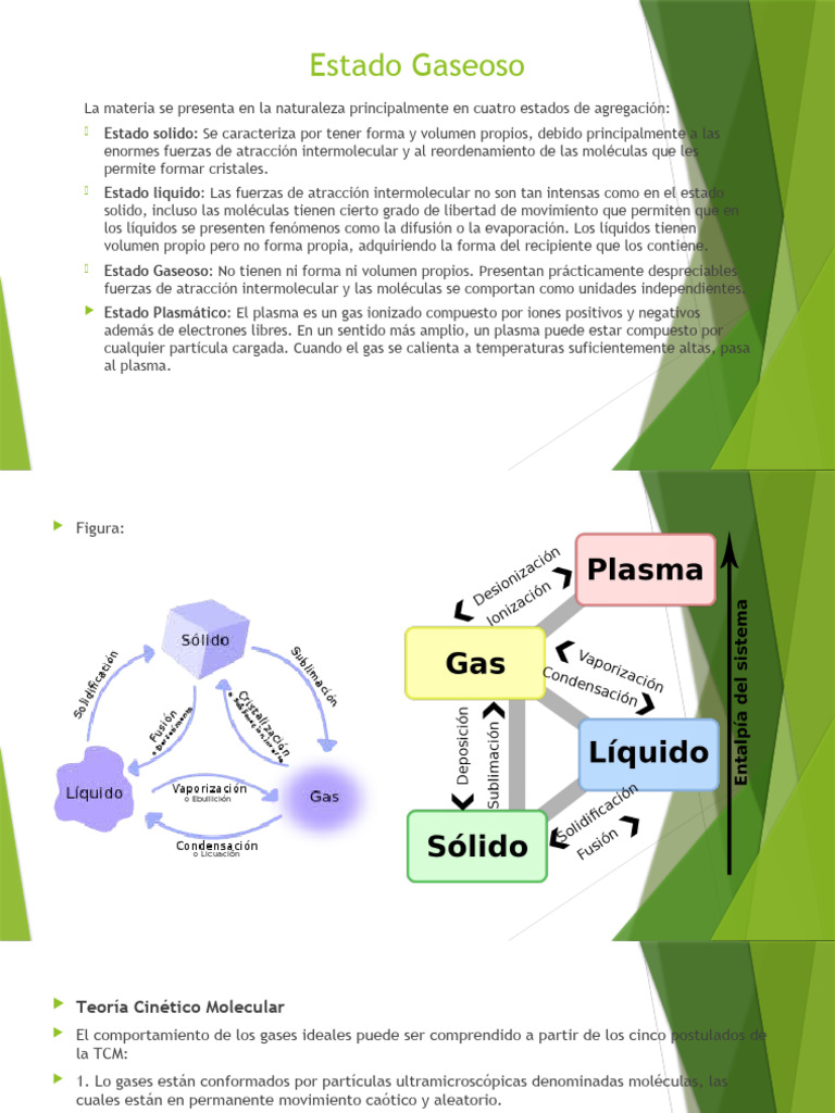 Estado Gaseoso | PDF | Gases | Presión