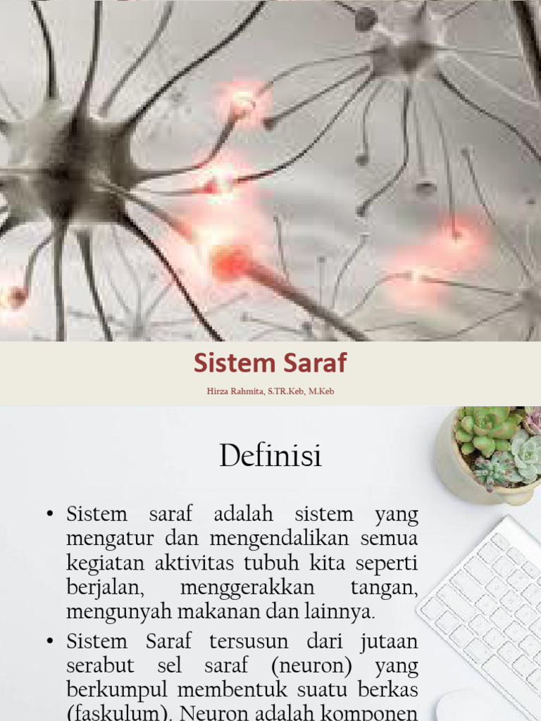 Hirza Rahmita - Sistem Saraf | PDF | Sains & Matematika