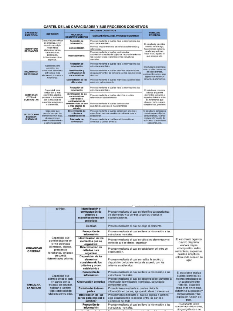 Cartel de Capacidades y Sus Procesos Cognitivos | PDF