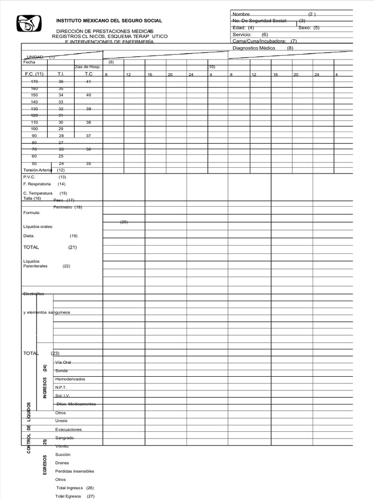 Vdocuments - MX Instructivo Hoja Enfermeria Del Imss 2011 | PDF | Enfermería | Trastorno mental