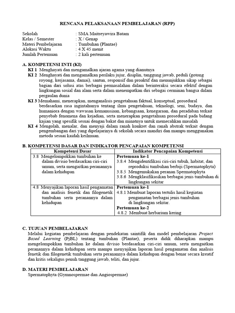 RPP Citra | PDF | Karier & Perkembangan