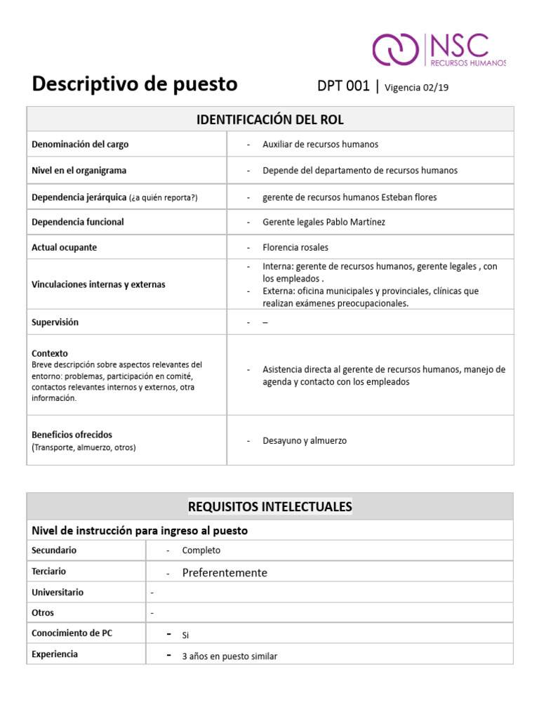 Descriptivo de Puesto Modelo | PDF | Gestión de recursos humanos | Business