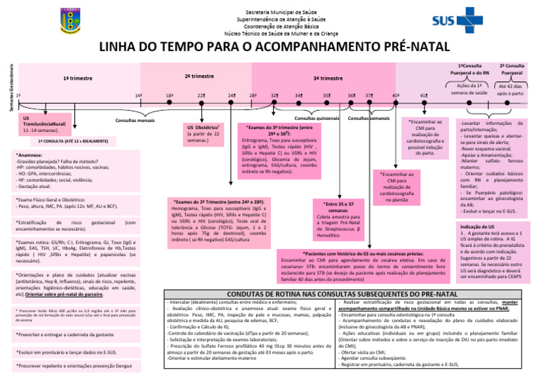 Linha Do Tempo Pré Natal | PDF | Gravidez | Economia de saúde