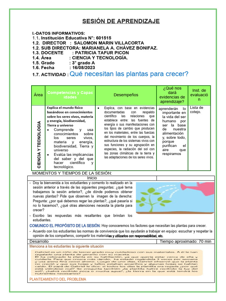Qué Necesitan Las Plantas para Crecer | PDF | Plantas | Hipótesis