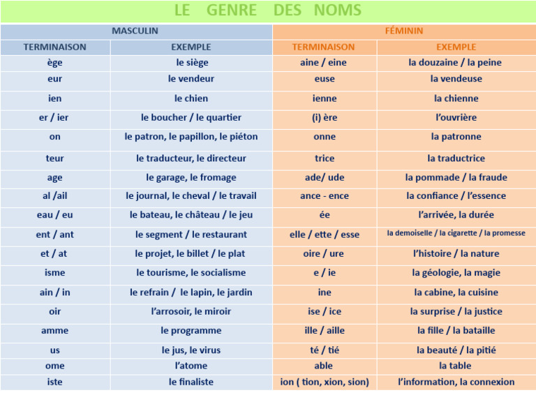 Genre des noms : masculin et féminin | PDF | Art