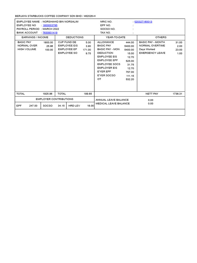 PaySlip 2 | PDF