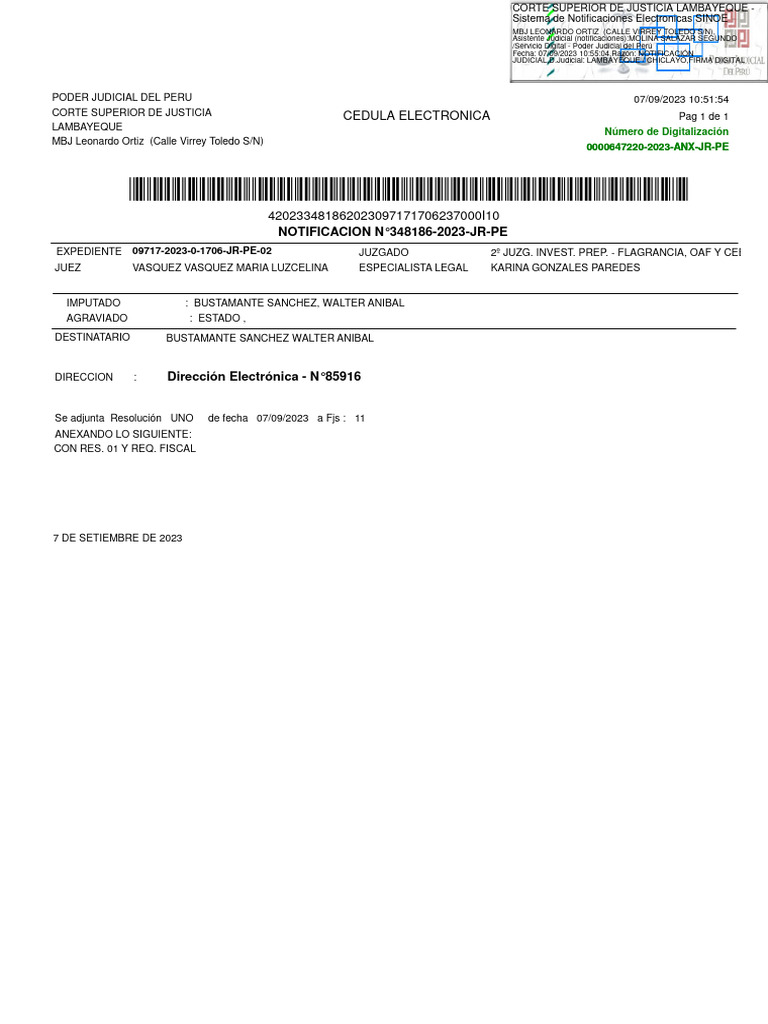 Exp. 09717-2023-0-1706-JR-PE-02 - Consolidado - 348186-2023 | PDF ...