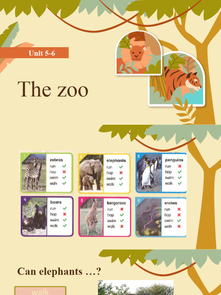 Unit 6 - The Zoo | PDF