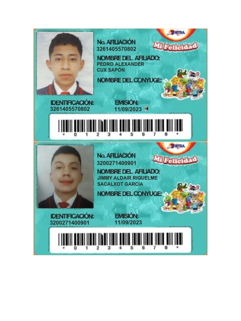 Carnet Irtra | PDF