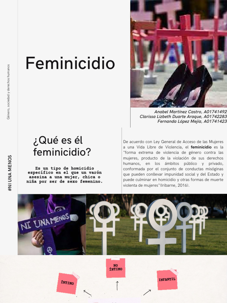 Feminicidios | PDF | La violencia contra las mujeres | Agresión