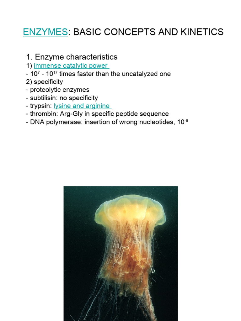 9,10.enzymes, Basic Concepts and Kinetics | PDF | Enzyme | Cofactor ...