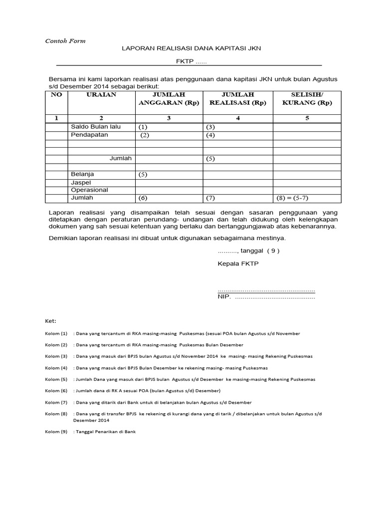 Form Laporan JKN 2015 Realisasi Dana Kapitasi JKN | PDF | Komputer