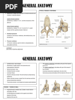 Costovertebral Angle Anatomy Overview | PDF | Vertebra | Vertebral Column