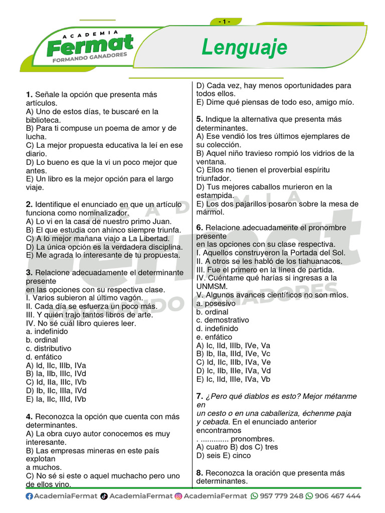 Lenguaje - Academia Fermat | PDF