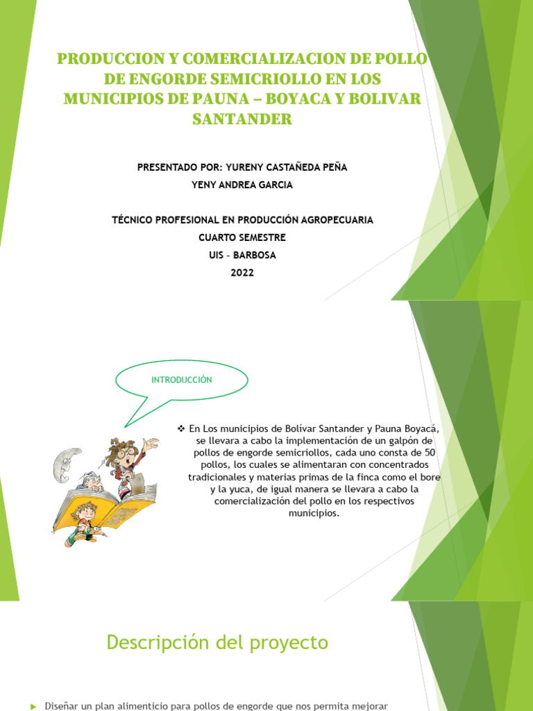 Producción y Comercialización de Pollo de Engorde Semicriollo | PDF ...