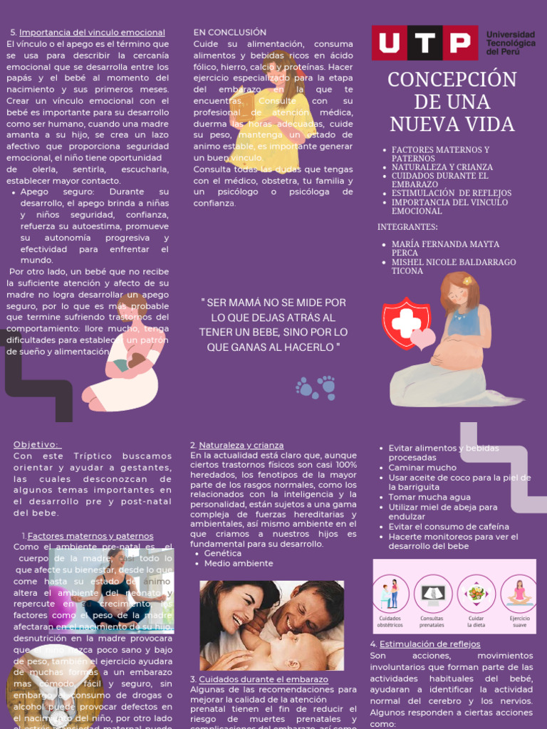 Folleto Tríptico Concepto de una nueva vida | PDF | El embarazo | Parto