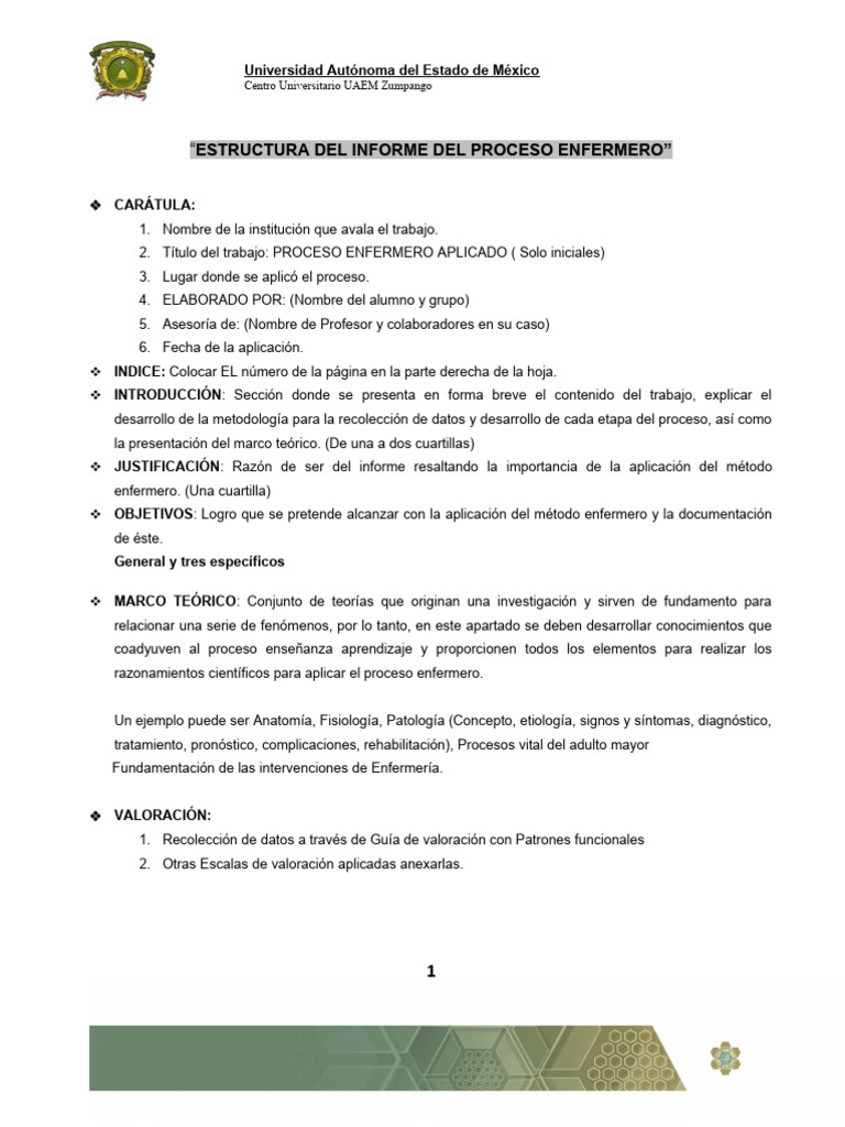 Estructura Del Pae 1 | PDF | Enfermería | Medicamentos con receta
