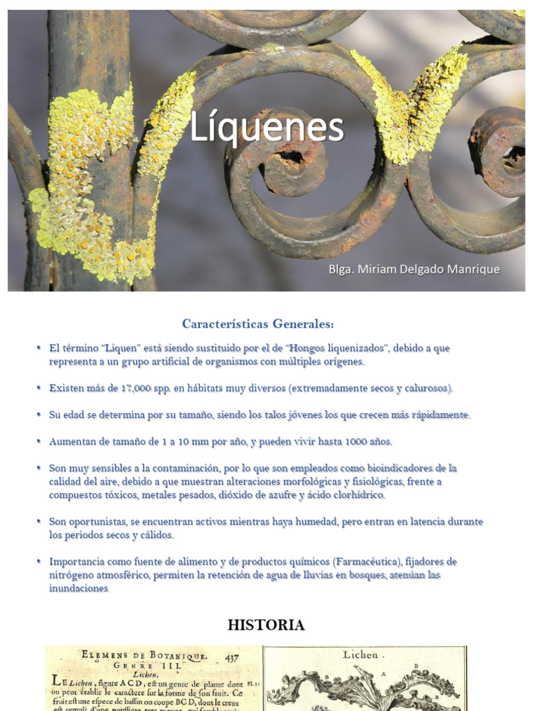 Líquenes Pdf Organismos Eucariotas