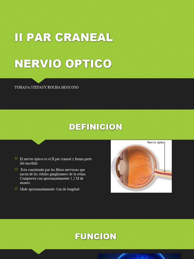 Ii Par Craneal | PDF