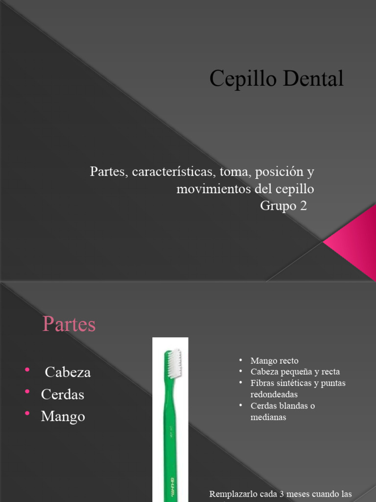 Cepillo Dental | PDF | Bienestar