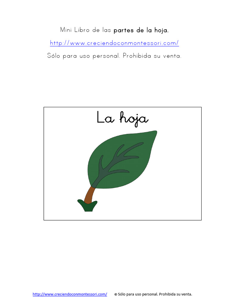 Partes de la hoja explicadas | PDF