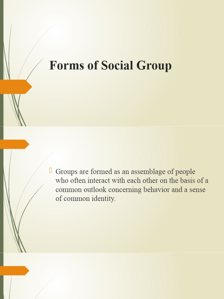 Forms of Social Group | Download Free PDF | Leadership | Social Group