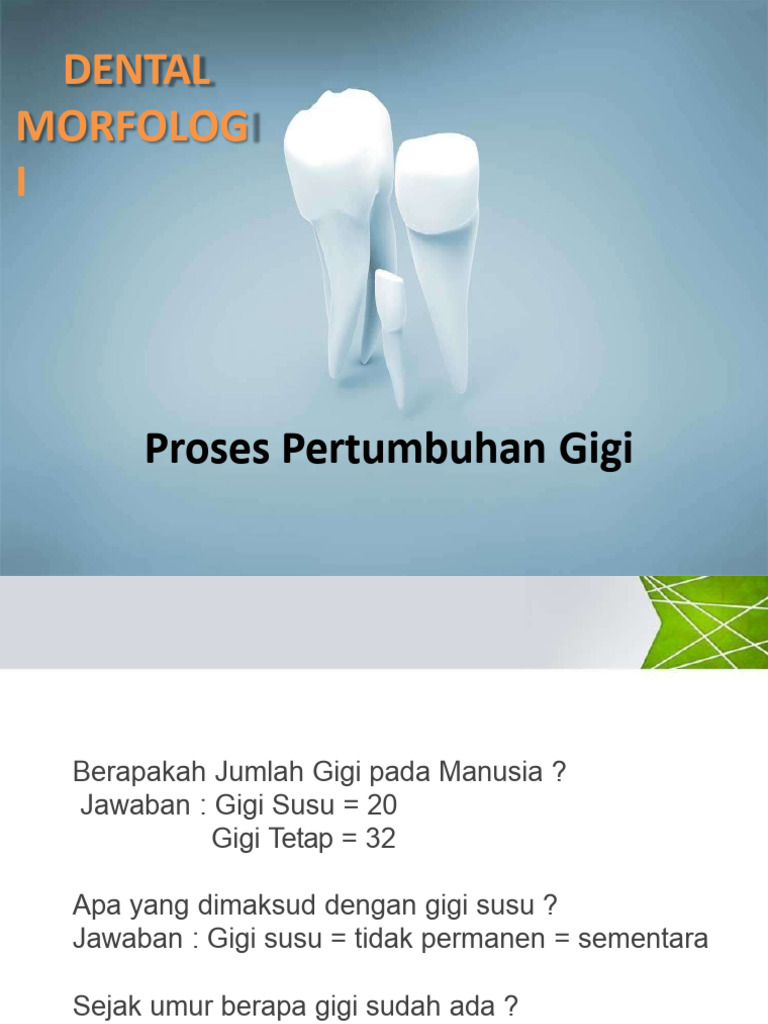 TM (1) Perkembangan Dan Pertumbuhan Gigi | PDF