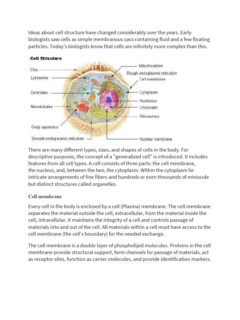 Cell Pdf Cell Biology Cytoplasm