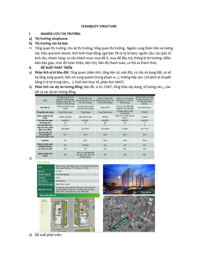 Feasibility Study Structure | PDF