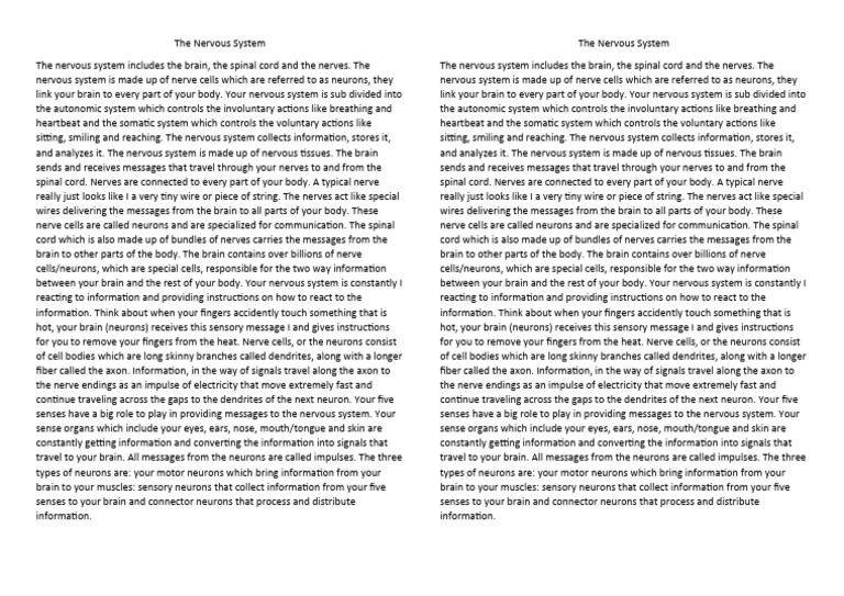 The Nervous System Comprehension | PDF | Neuron | Nerve