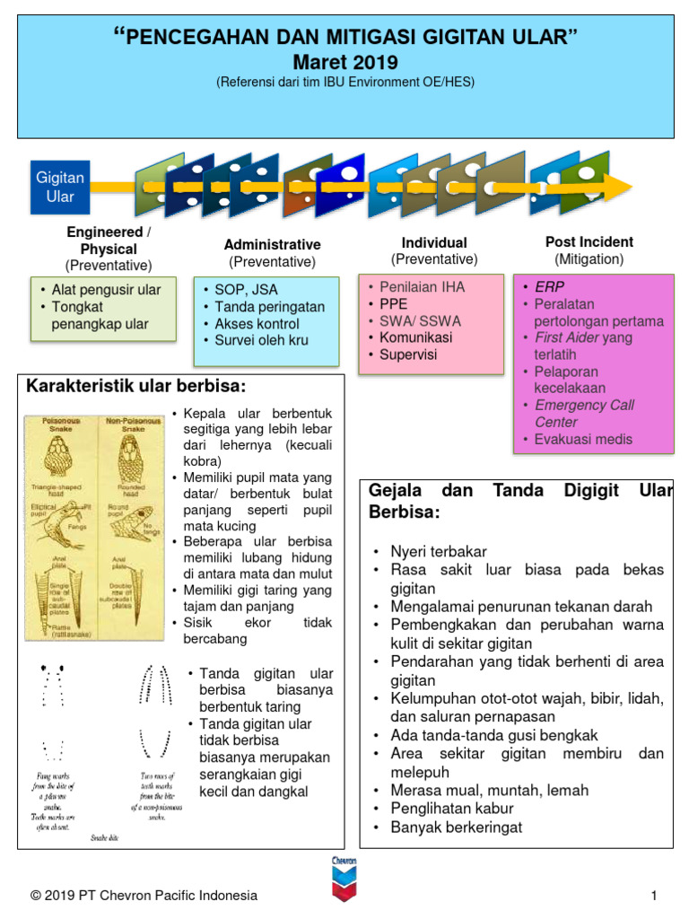 2019 Snake Bite Safety Talk Pdf