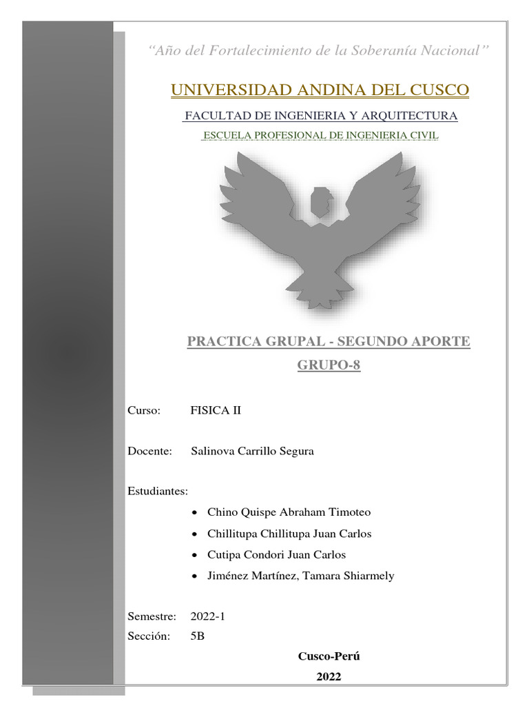 Practica Grupal - Segundo Aporte | PDF