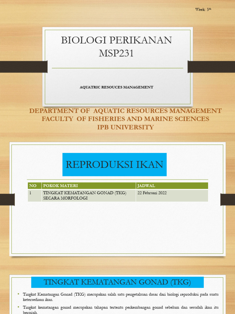 Week#5 - TKG (Morfologi) | PDF
