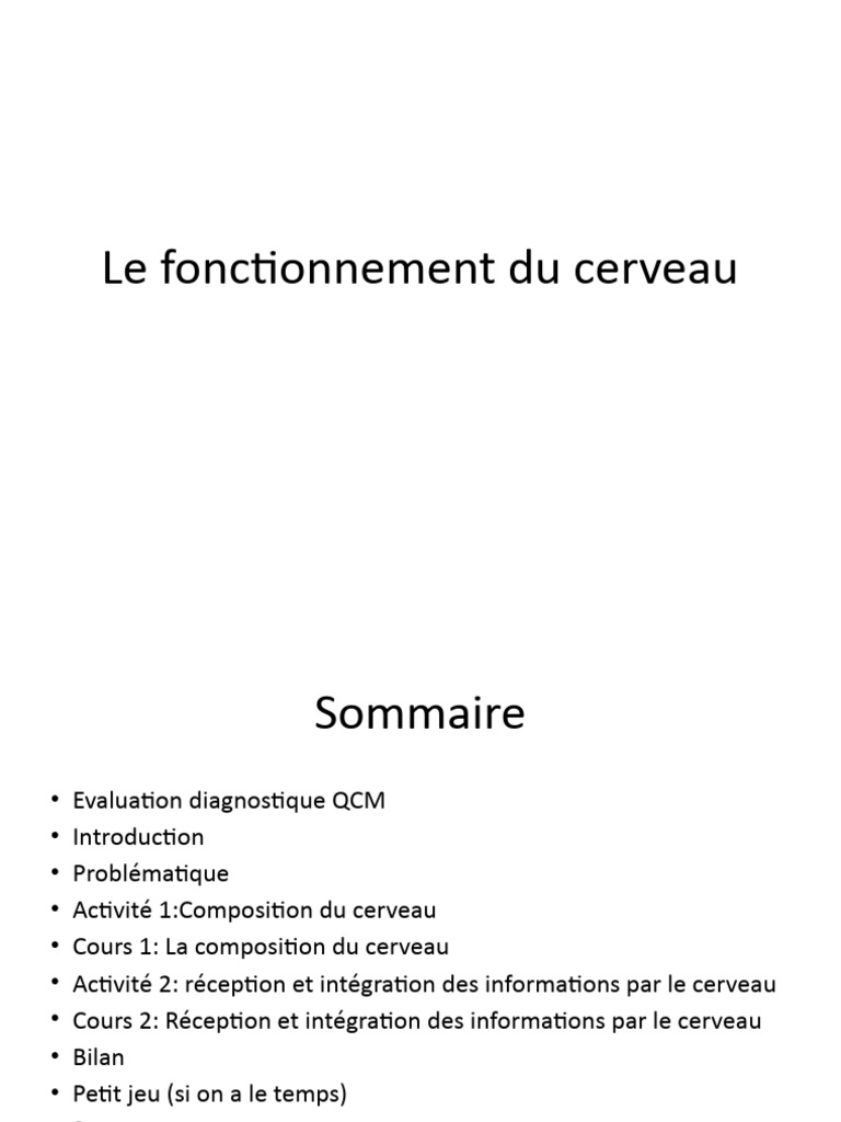 Cerveau: Fonctionnement et Réactions | PDF | Cerveau | Système nerveux