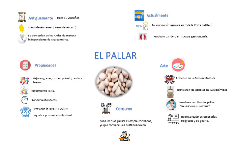 Infografia El Pallar | PDF