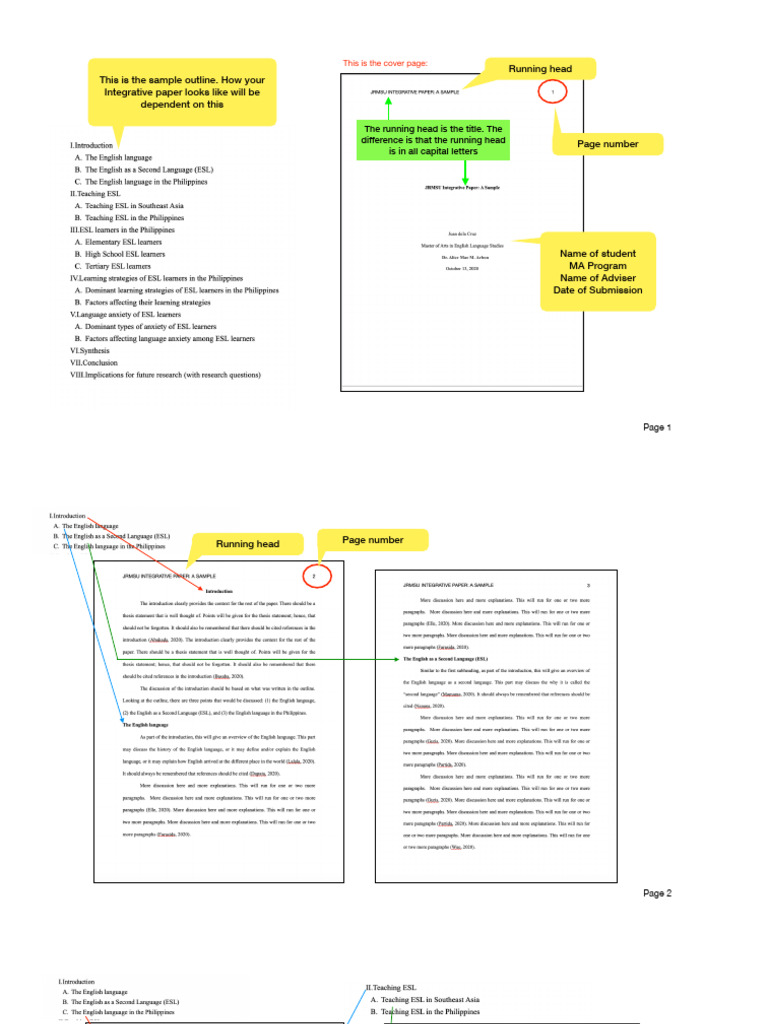 Integrative Paper Format Guide | PDF | Cultural Assimilation ...