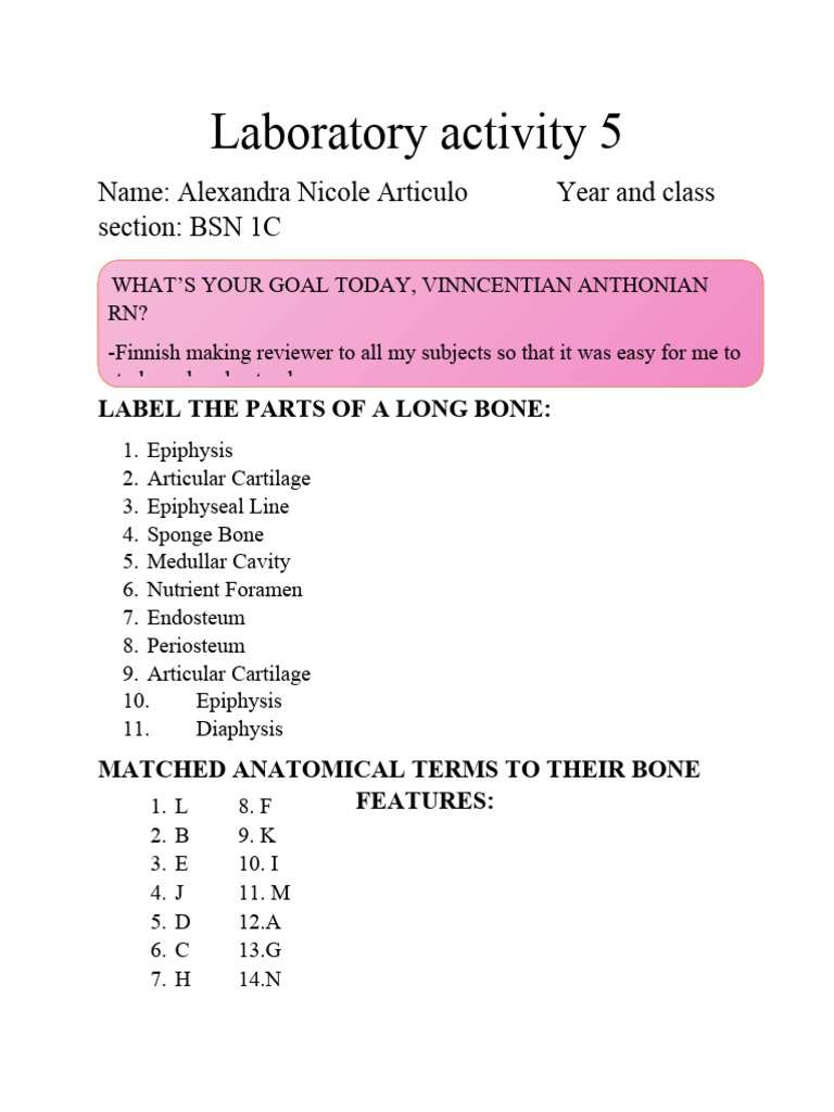 ANATHOPY Laboratory Activity 5 | PDF