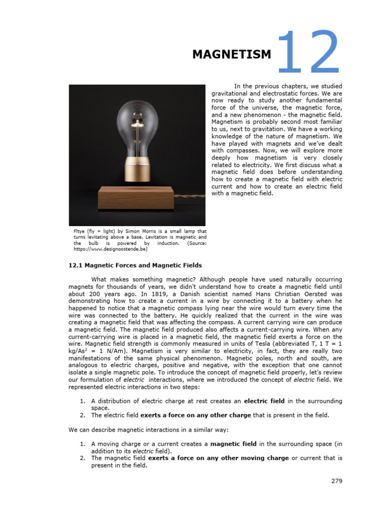 Chapter 12 Magnetism | PDF | Magnetic Field | Electric Field