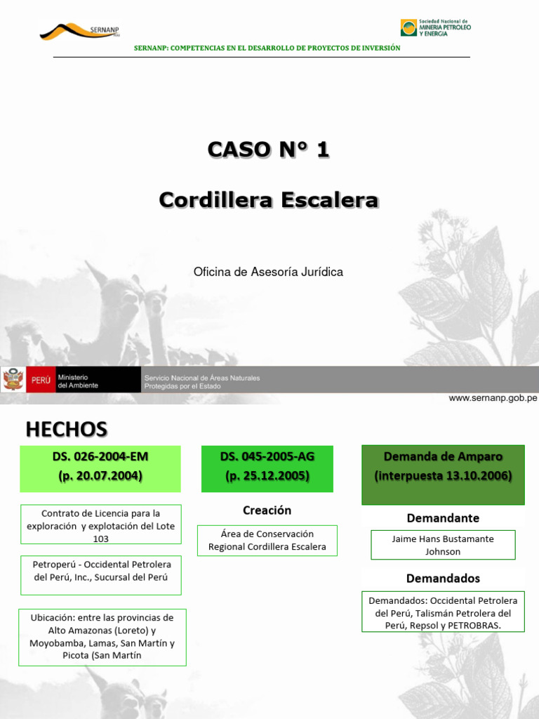 Caso N 1 Cordillera Escalera | PDF | Petróleo | Perú