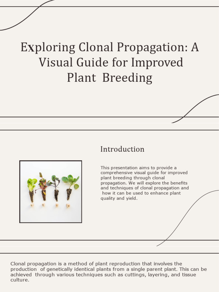 3 - Clonal Propagation | PDF