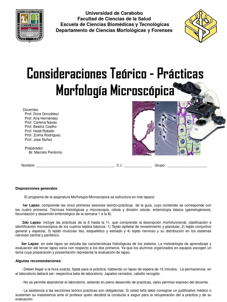 Guía Práctica Morfología Microscopica | PDF | Tinción | Óptica
