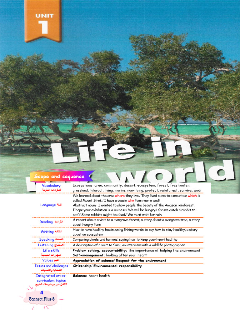 Connect Plus 5 (Unit 1) | PDF | Artery | Blood