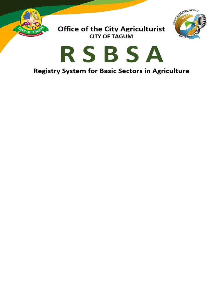 RSBSA Letter Requirements | PDF