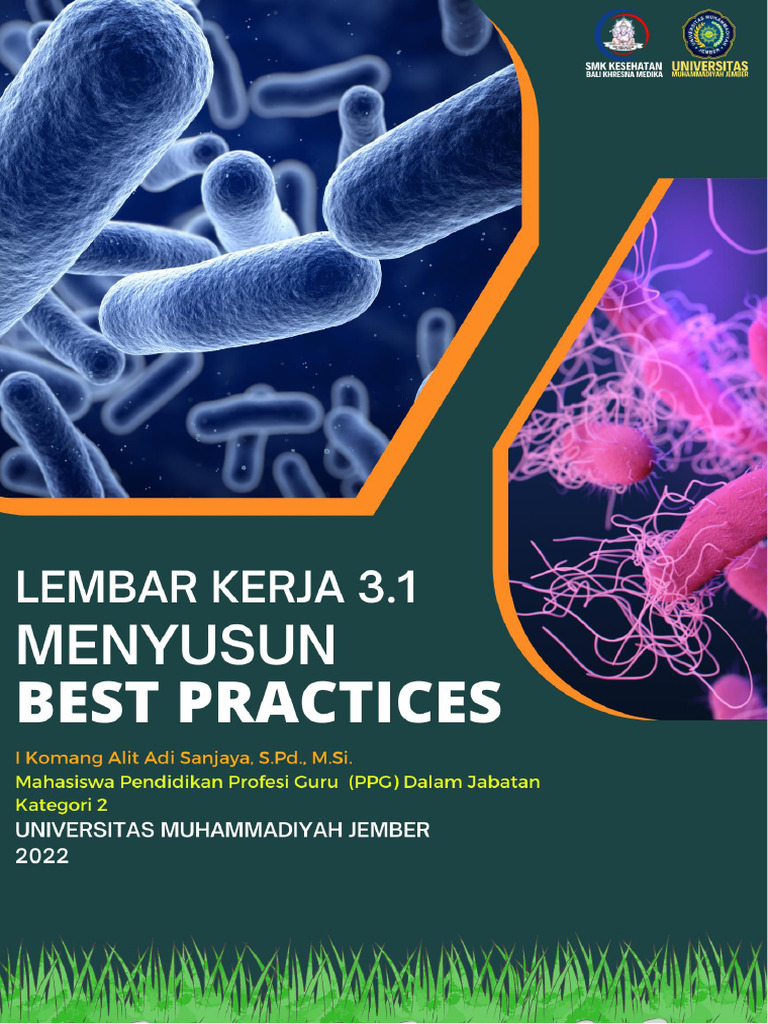 Best Practice 2 | PDF