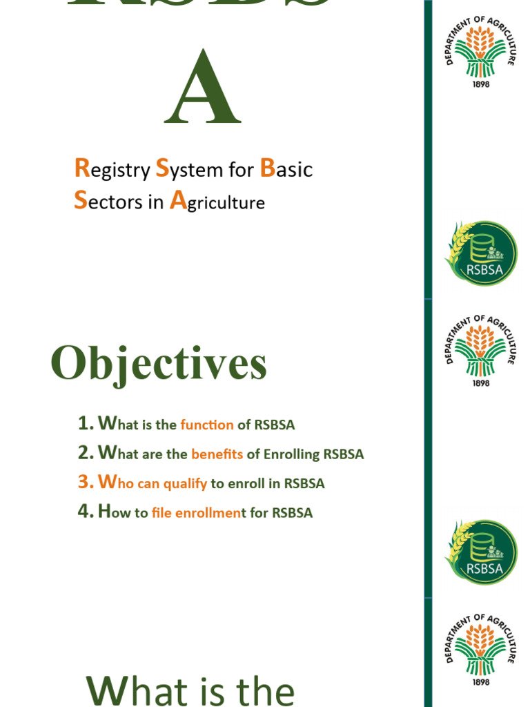 RSBSA Presentation | Download Free PDF | Farmer | Agriculture