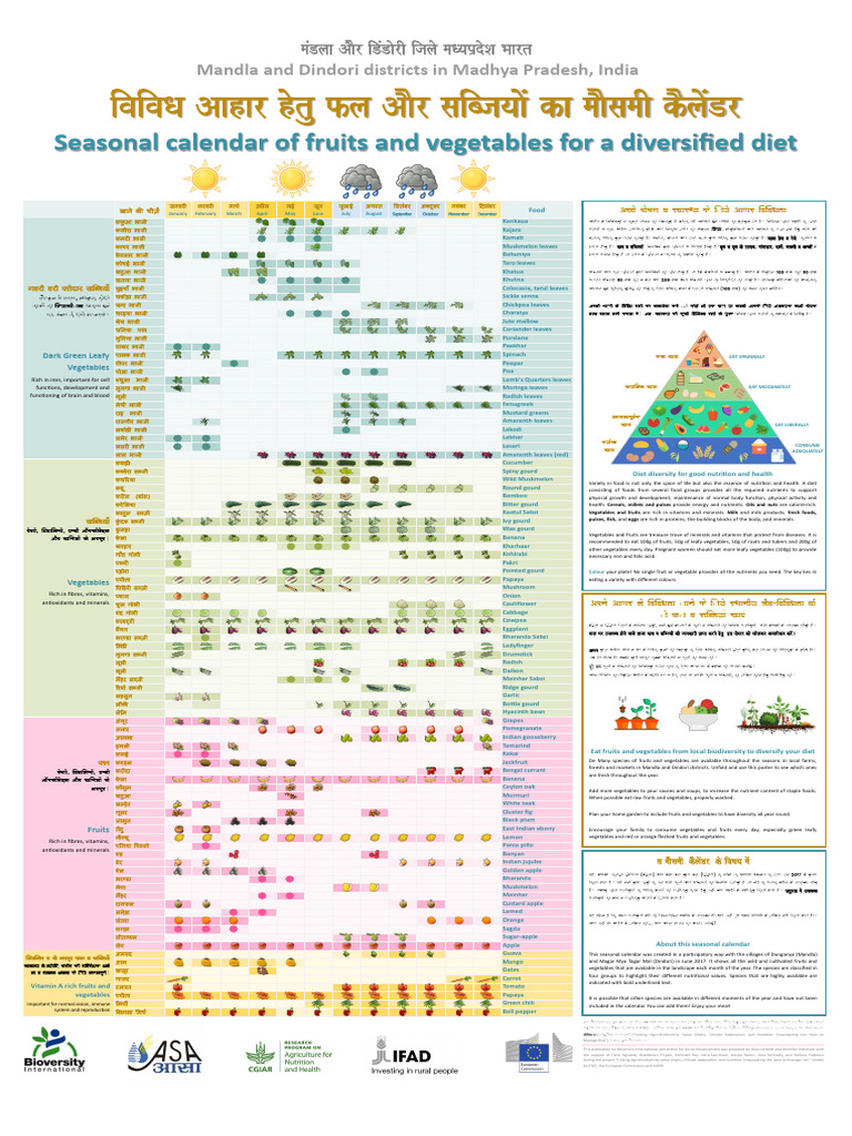 2019 Seasonal India Poster | PDF | Vegetables | Leaf Vegetable
