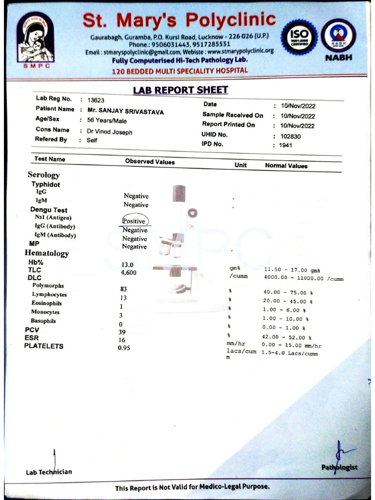 Pathology Report | PDF