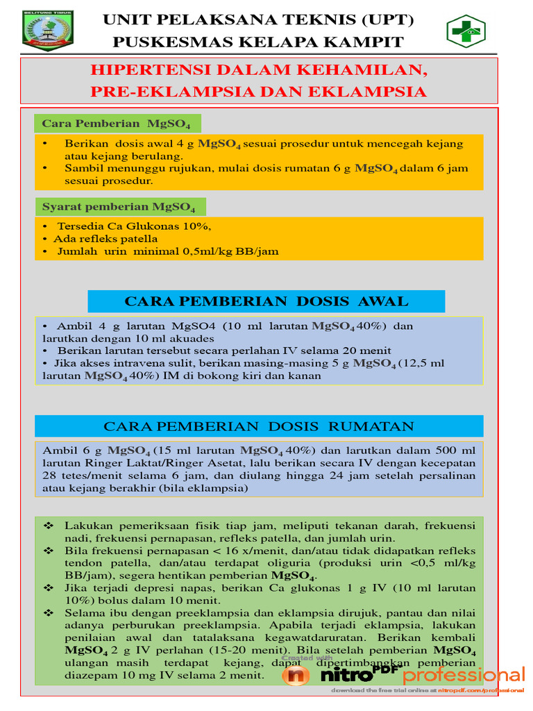 Pemberian MgSO4 pada Preeklampsia | PDF