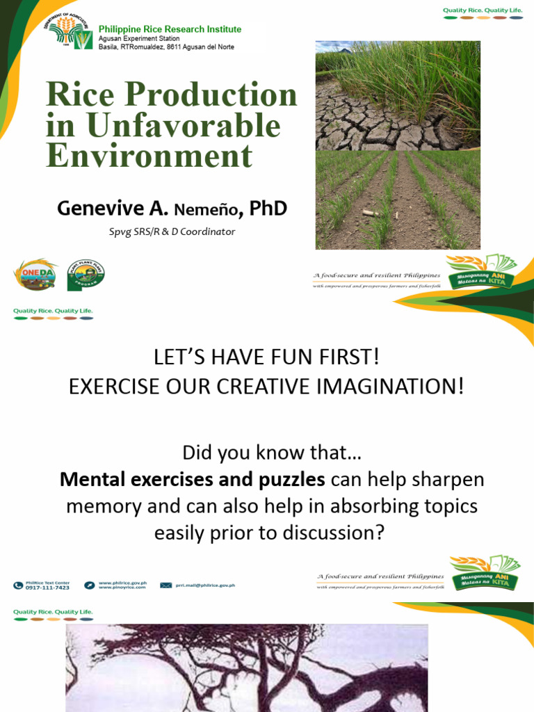 RSTC Lecture - Rainfed - (Rice Production in Unfavorable Environments ...